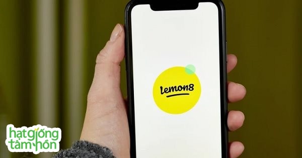 Ứng dụng Lemon8 ‘đàn em’ của TikTok đang phổ biến tại Mỹ -Hạt giống tâm hồn