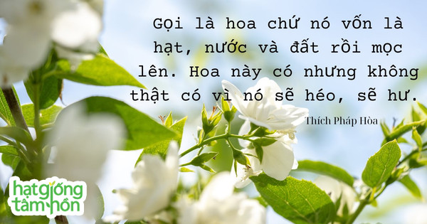 Chia sẻ từ trái tim - Sống là sự vay mượn liên tục -Hạt giống tâm hồn