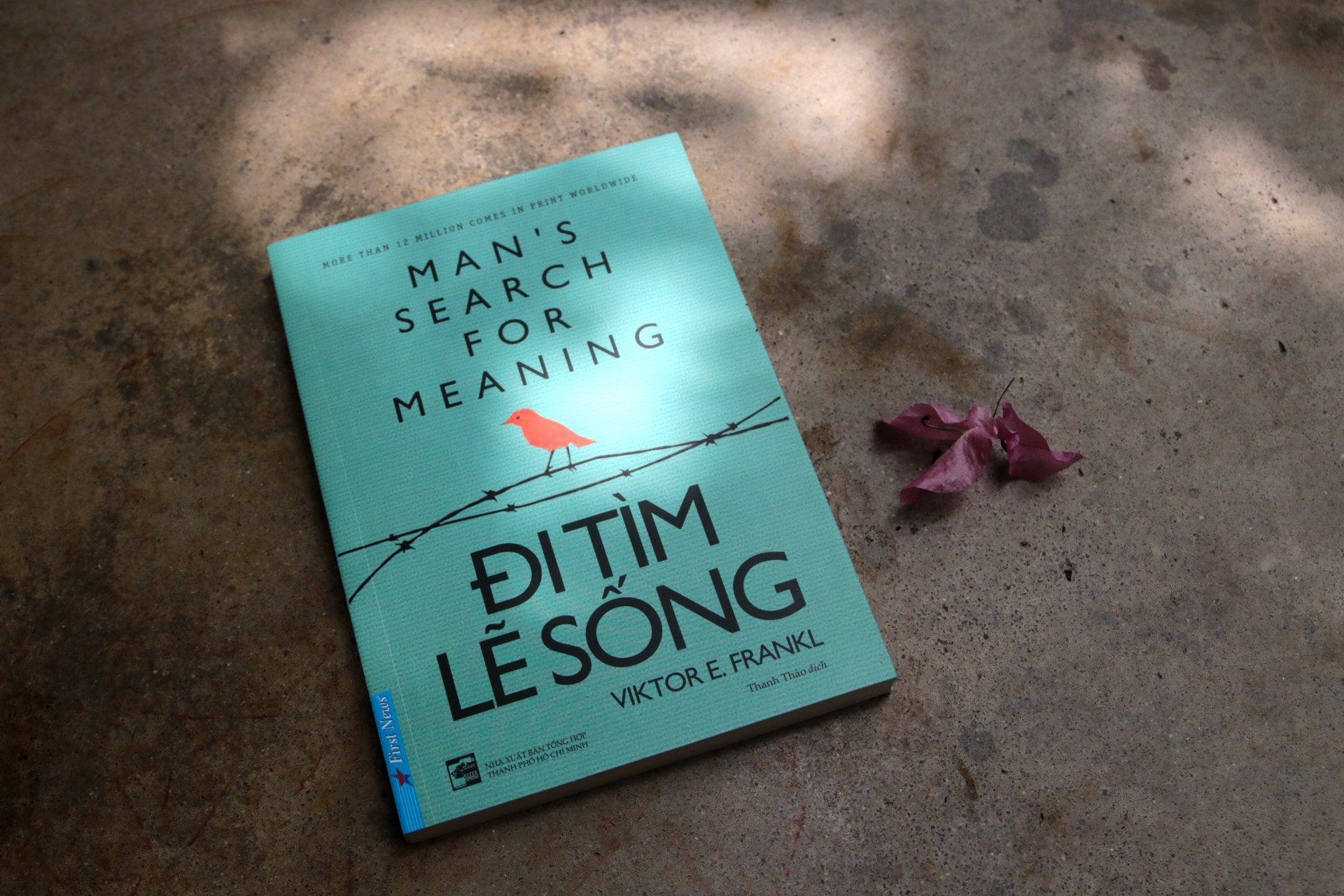 Video - Hạt giống tâm hồn